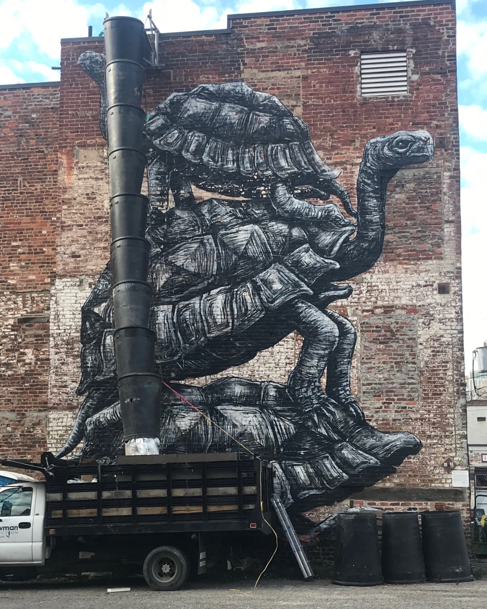 ROA Murals and Street Art | FindMASA